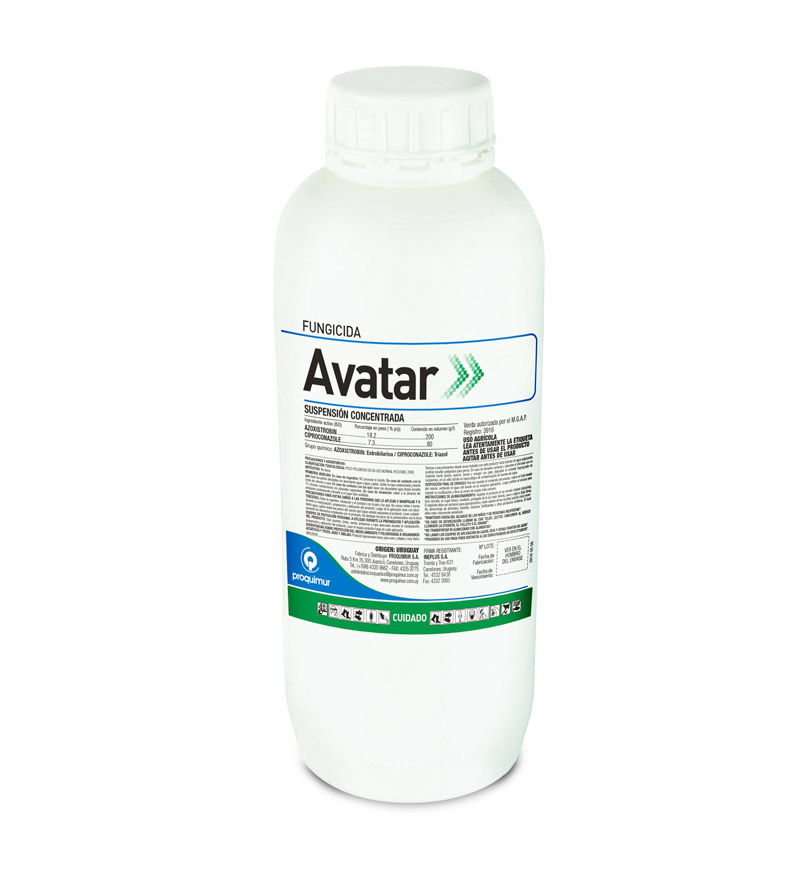 avatar1l | Proquimur