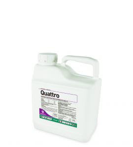quatro | Proquimur
